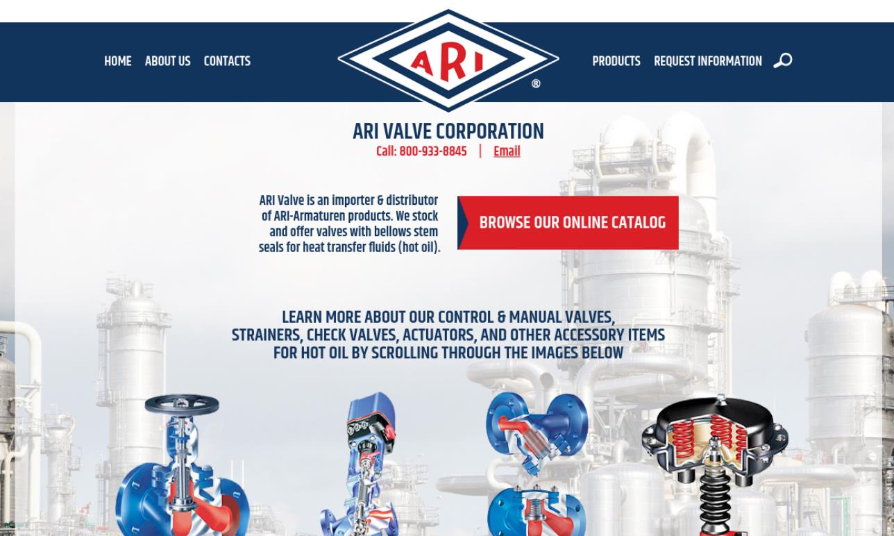 ARI Valve Corporation | Check Valves